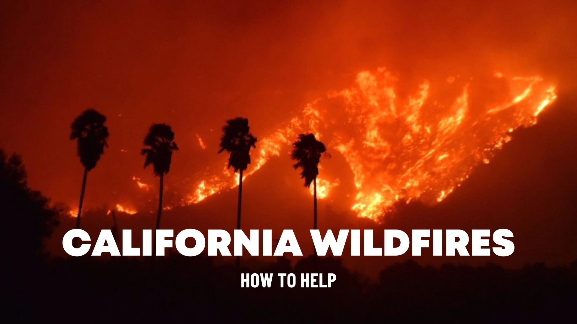 California Wildfires: How You Can Help | SHERRI